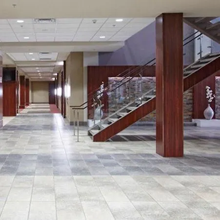 VISCOUNT GORT HOTEL, BANQUET & CONFERENCE CENTRE, WINNIPEG